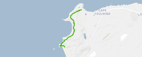 Cape Foulwind walkway Hiking Trail - | Trailforks