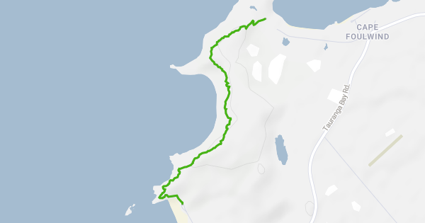 Cape Foulwind walkway Hiking Trail - | Trailforks