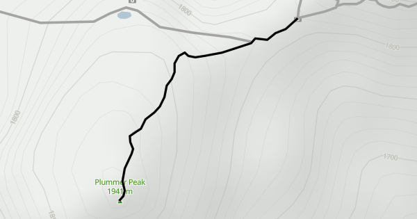 Plummer Peak Trail Hiking Trail - Ashford, Washington