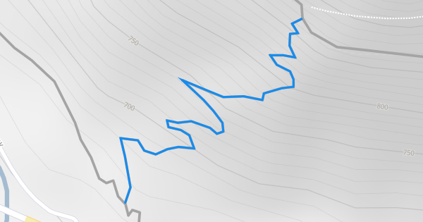 Windy Point Crossover Trail Hiking Trail - Skykomish, WA
