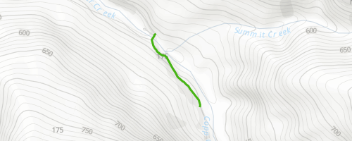 Stairway Trail Multi Trail - Hockinson, Washington