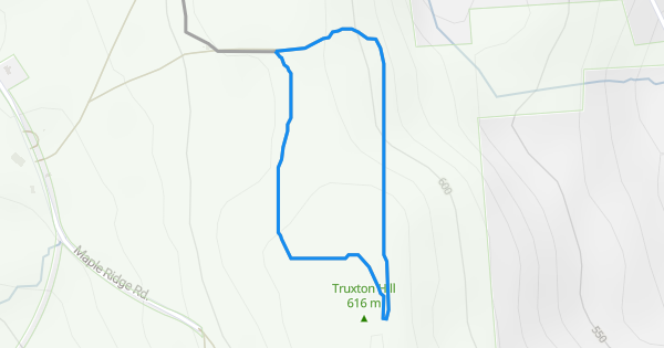 Truxton Hill Loop Hiking Trail - truxton, New York