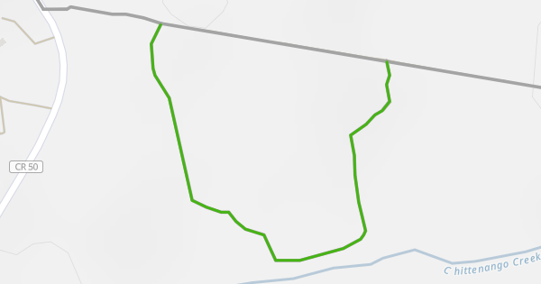 Nelson Swamp Nature Trail Hiking Trail - Cazenovia