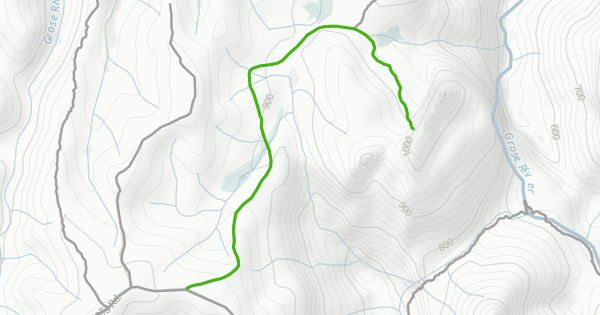 Asgard Swamp Trail Hiking Trail - Katoomba | Trailforks