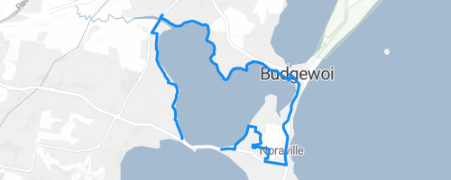 Budgewoi Lake Circuit Multi Trail - | Trailforks