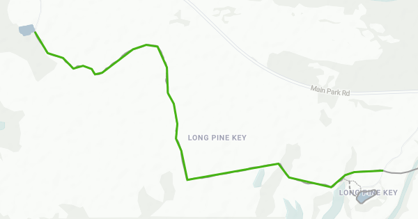 Long Pine Key Trail Multi Trail - Homestead, Florida