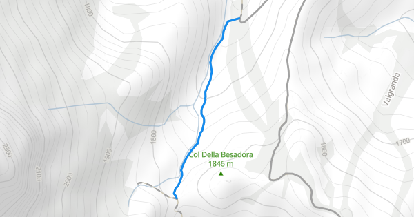 Hammer Trail Multi Trail - | Trailforks