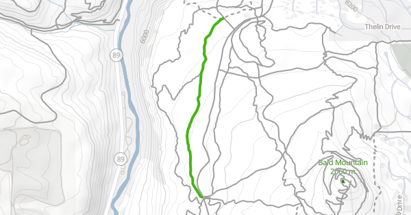 Gentle Jeffrey Multi Trail - Truckee, California