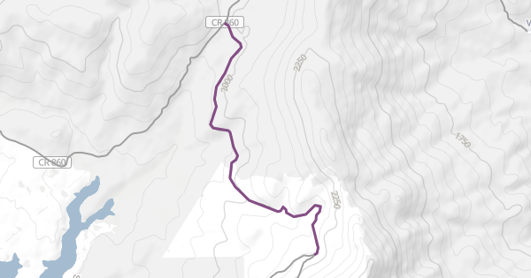 Verdi Peak Road (North) Multi Trail - - California