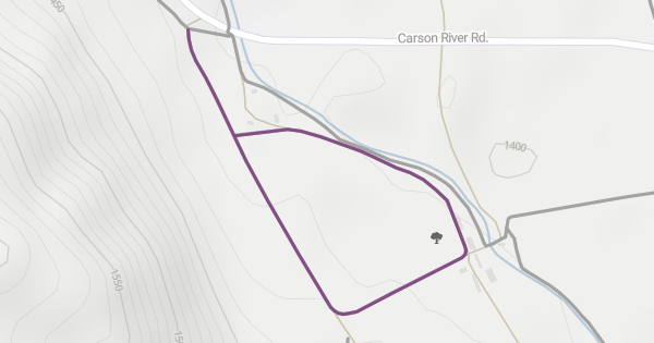 Silver Saddle Ranch Access Multi Trail - Carson City