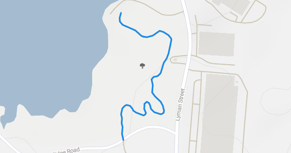 Watson Park Multi Trail - Northborough, MA | Trailforks