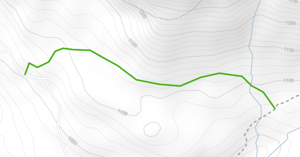 Cowlitz Horse Trail Horseback Trail - Naches, Washington