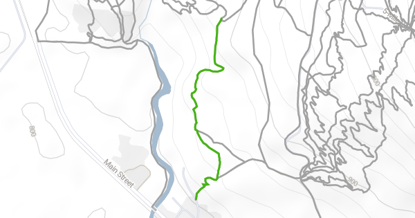 Ale Trail to Town Mountain Biking Trail - Valemount