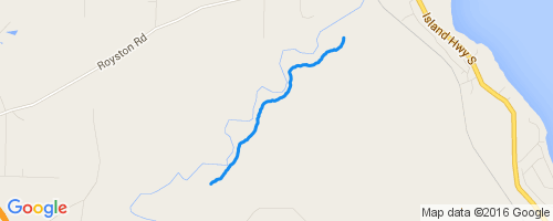 Moe's Misery Mountain Biking Trail - Royston, BC