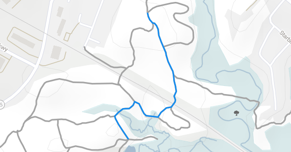 Fore River Forest City Trail (White) Multi Trail - Portland