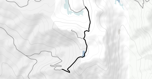 Lake Christine Trail Hiking Trail - Ashford, Washington