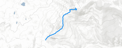 Divide Ridge Mountain Biking Trail - Naches, WA
