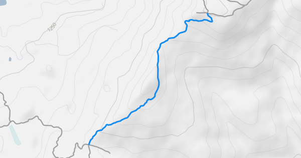 Divide Ridge Mountain Biking Trail - Naches, WA
