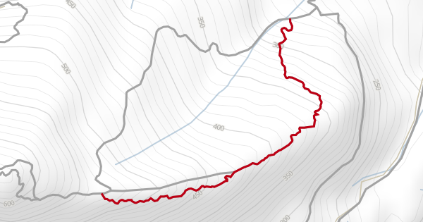 Vulture Ridge Mountain Biking Trail - Port Angeles