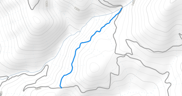 Lower Tollgate Trail Mountain Biking Trail - Quincy