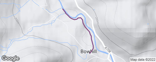 Lady’s Walk Multi Trail - Bowhill, Selkirk