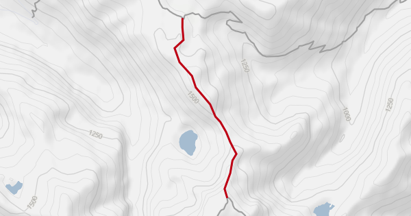 Rooster Comb Ridge Hiking Trail - - Washington