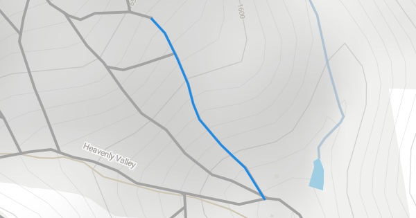 Snake Gully Skiing Trail - | Trailforks