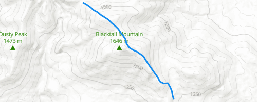 Blacktail Mountain Hiking Trail - Priest River, ID