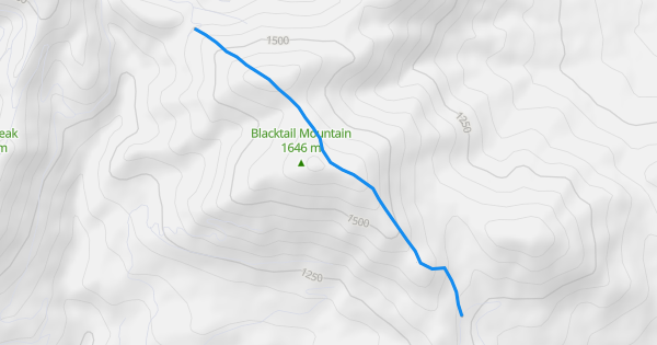 Blacktail Mountain Hiking Trail - Priest River, ID