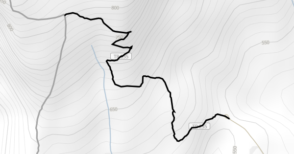 Wolf Pit Hiking Trail - Pisgah - North Carolina
