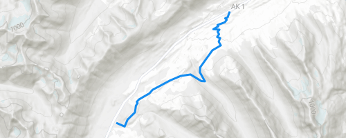 Turnagain Pass Trail - INHT Multi Trail - Portage, AK