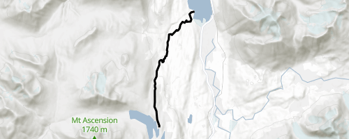 INHT - Primrose Trail Multi Trail - Seward, AK