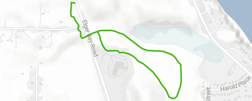 Elger Bay Nature Trail Hiking Trail - Camano Island