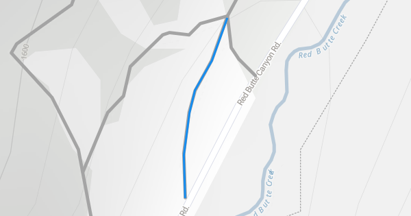 Red Butte Canyon Road Connect Multi Trail - Salt Lake City