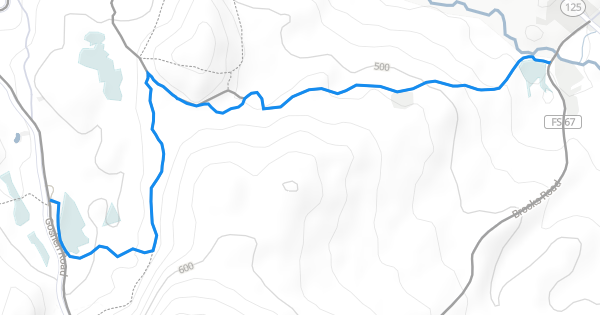Widow's Clearing Multi Trail - Goshen, Vermont