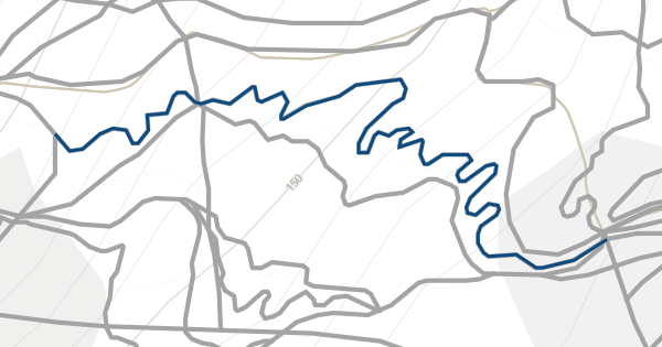 Common Ground Mountain Biking Trail - Dunedin