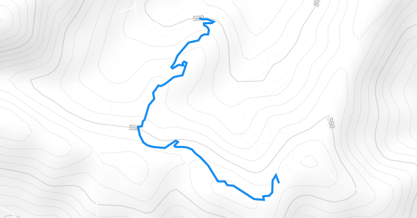 2Up Track Mountain Biking Trail - Yackandandah