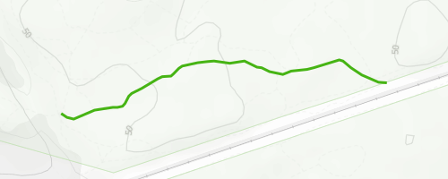 Turtle Rock Trail Multi Trail - Falmouth, Massachusetts