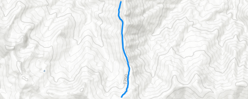 Sainte Claire Ridge Trail (Upper) Hiking Trail - Trinity Center