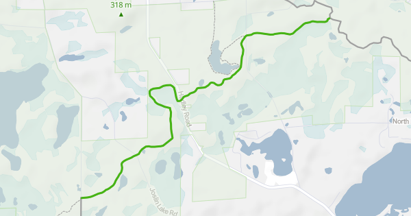 Waterloo-Pinckney Trail Multi Trail - Chelsea, MI