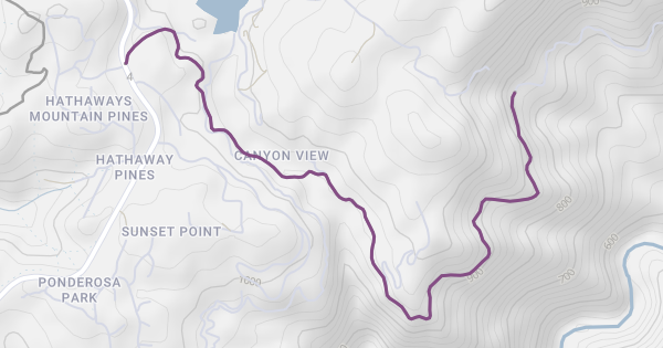 Candy Rock Road Multi Trail - Arnold, California