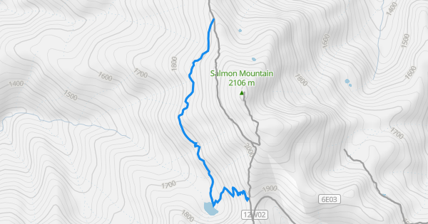 Red Cap Lake Trail Hiking Trail - Trinity Center, CA