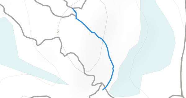 Horse's Ass Mountain Biking Trail - Georgetown, MA