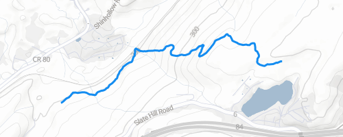 Lenape Ridge Trail Hiking Trail - Port Jervis, New York