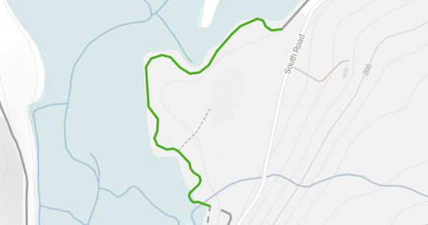 LP/SRT Marsh Trail Hiking Trail - Middletown, New York