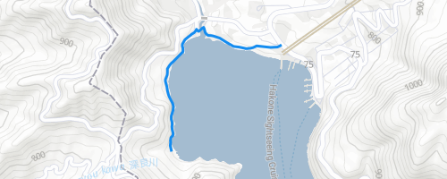 Lake Ashi Trail (North End) Mountain Biking Trail - Hakone