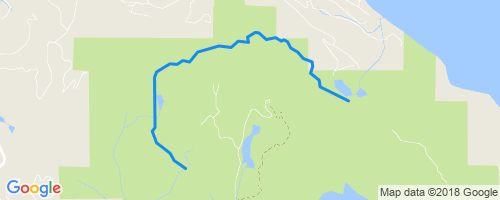 Mt. Constitution Trail Mountain Biking Trail - Eastsound