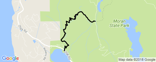 Cold Spring Mountain Biking Trail - Eastsound, Washington