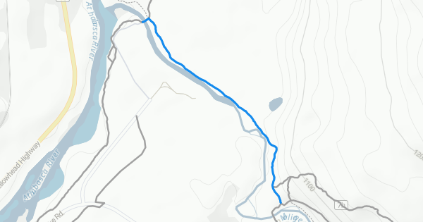 Trail 7 (5th to 6th bridge) Multi Trail - Jasper, Alberta