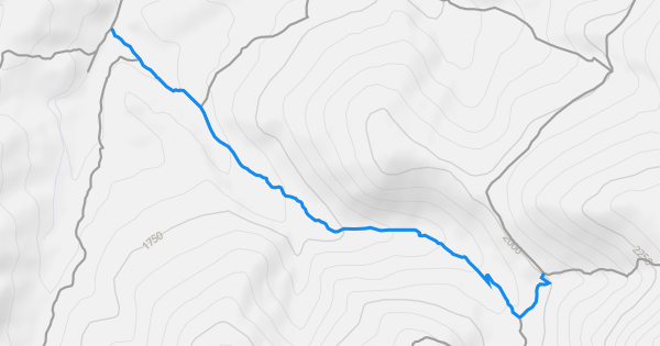 Casey Meadows Trail Multi Trail - Helena, Montana